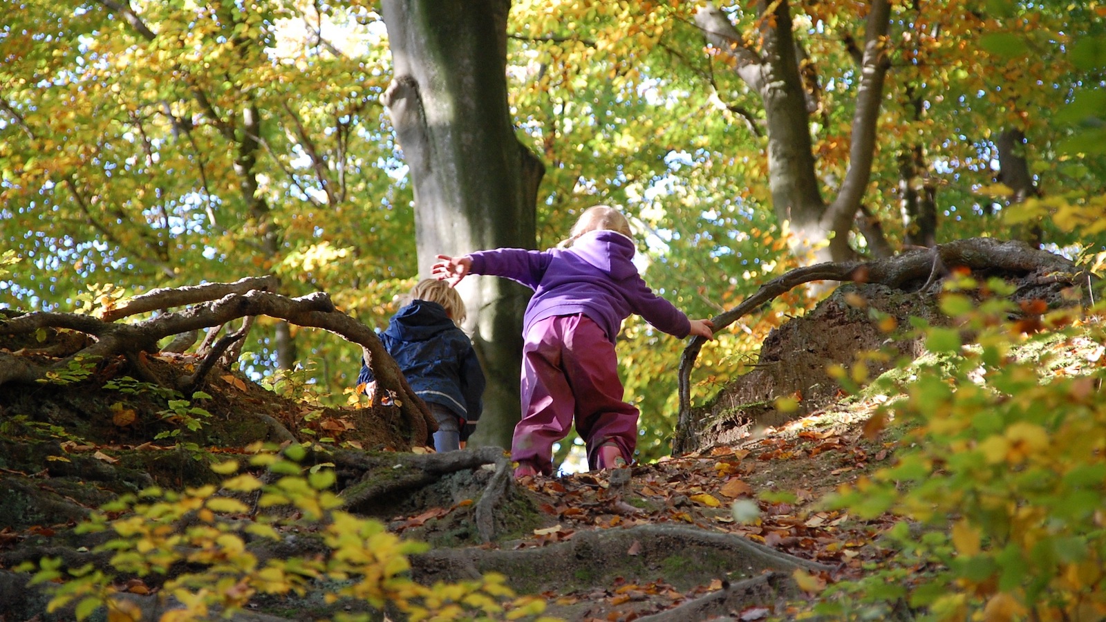 Kreis Höxter lädt zur Familienwanderung mit Wanderführerin Laura Wende ...